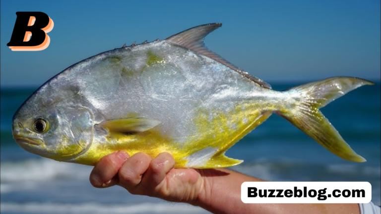 Golden Pompano: The Complete Expert Guide to One of the Ocean’s Most ...